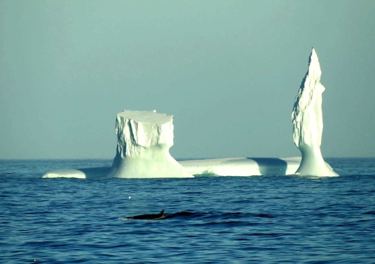 Stewardship | Baffin Fisheries | Premium, Wild, Cold Water Seafood